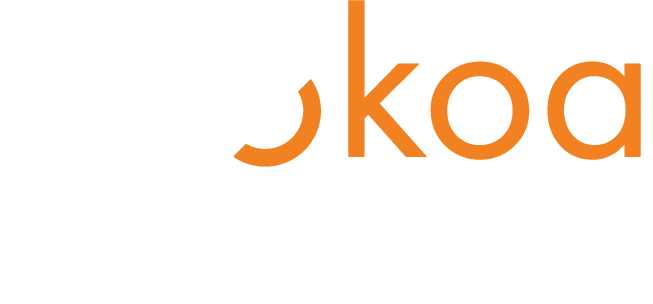 jikokoa plus burn manufacturing cookstove