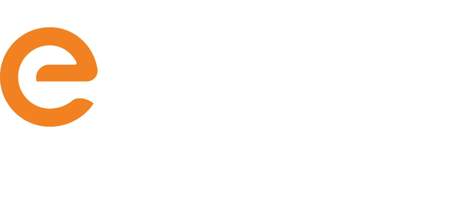 Electric Induction Cooker