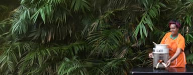 ECOA Wood: Top Efficiency & Eco-Friendly Cooking